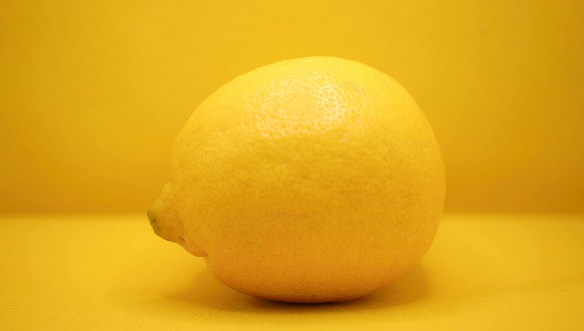Lemon Curd – WECK Online Shop