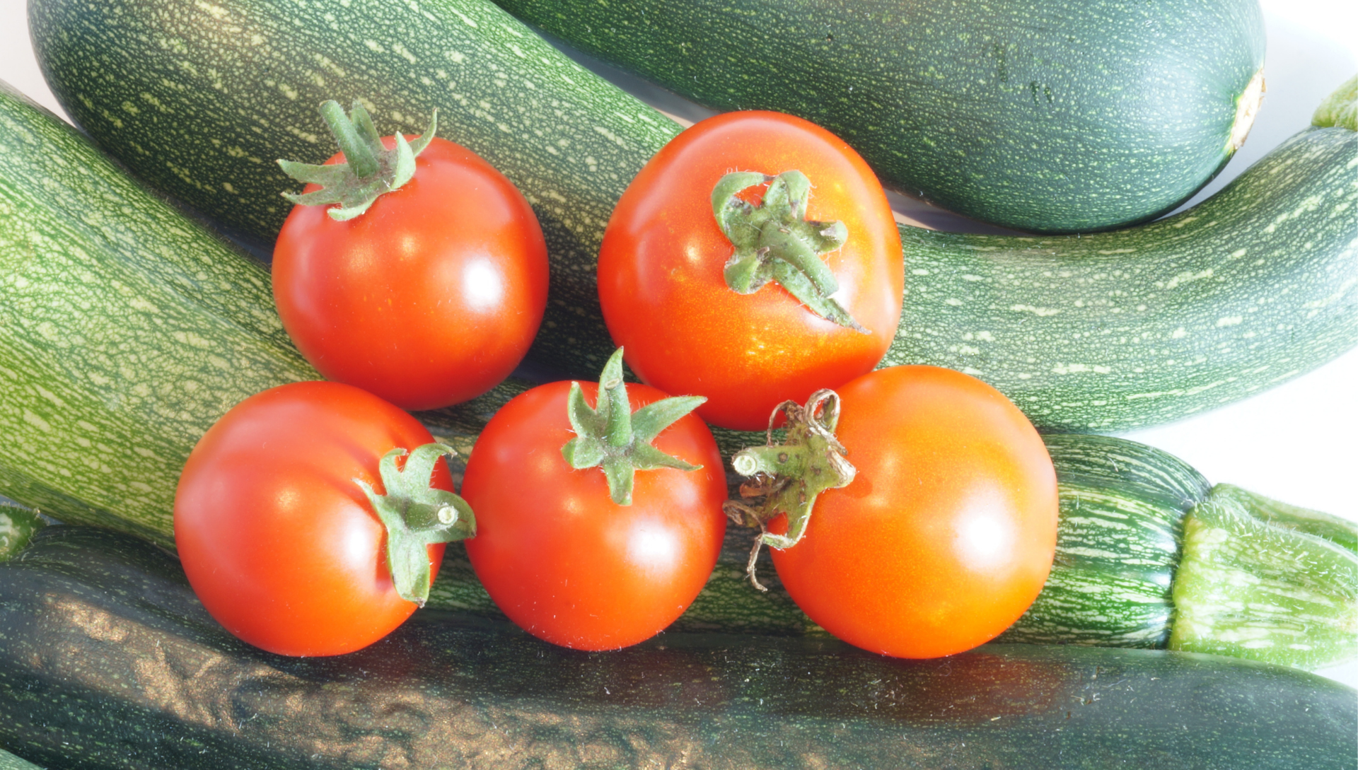 Tomaten-Zucchini-Chutney – WECK Online Shop